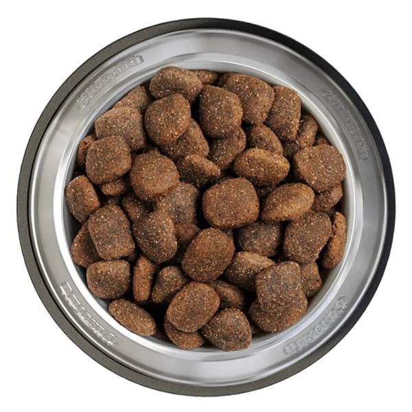 Belcando GF Adult Ocean | 4 kg.