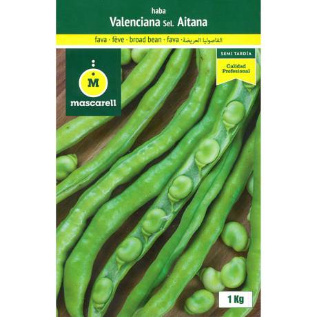 Haba Valenciana AITANA | 1 kg.