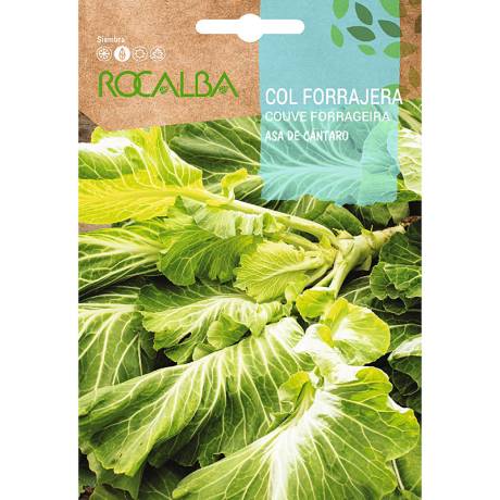 Col Forrajera Asa de Cantaro