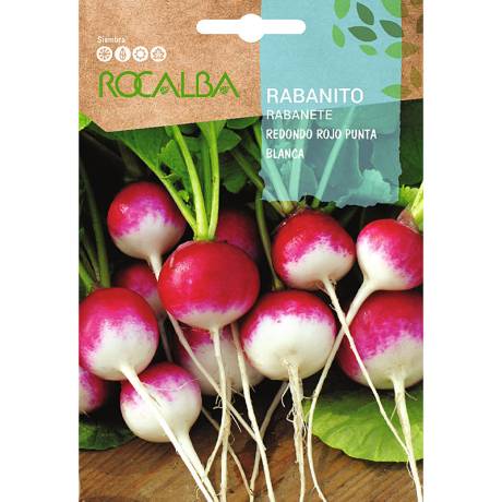 Rabanito Redondo Rojo Punta Blanca